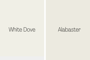 White Dove Vs Alabaster