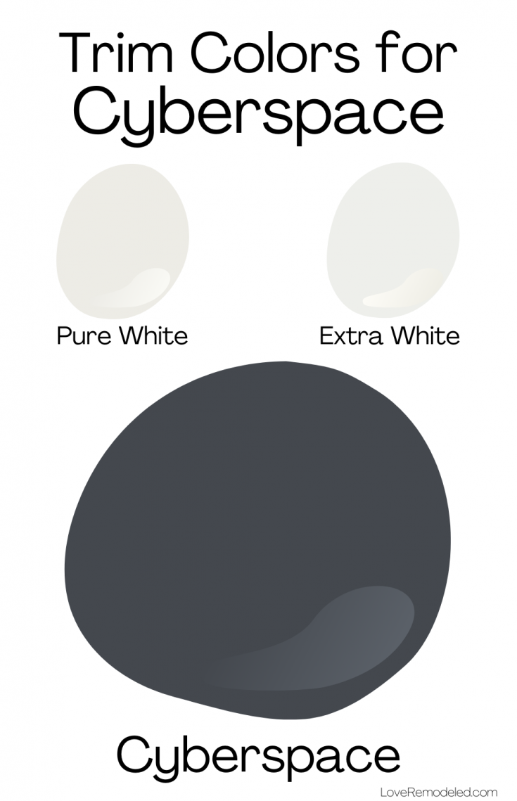 Cyberspace Paint Color, by Sherwin Williams - Love Remodeled