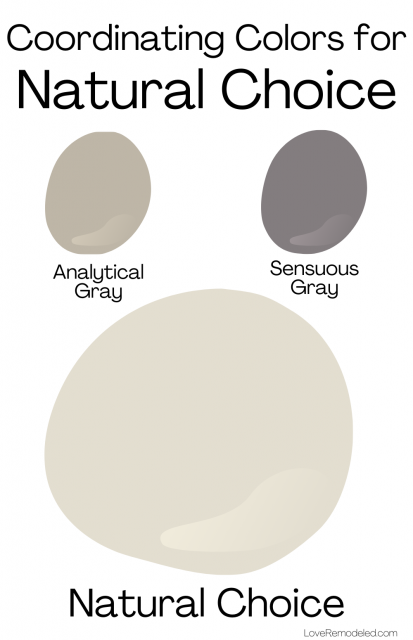 Natural Choice Paint Color, by Sherwin Williams - Love Remodeled