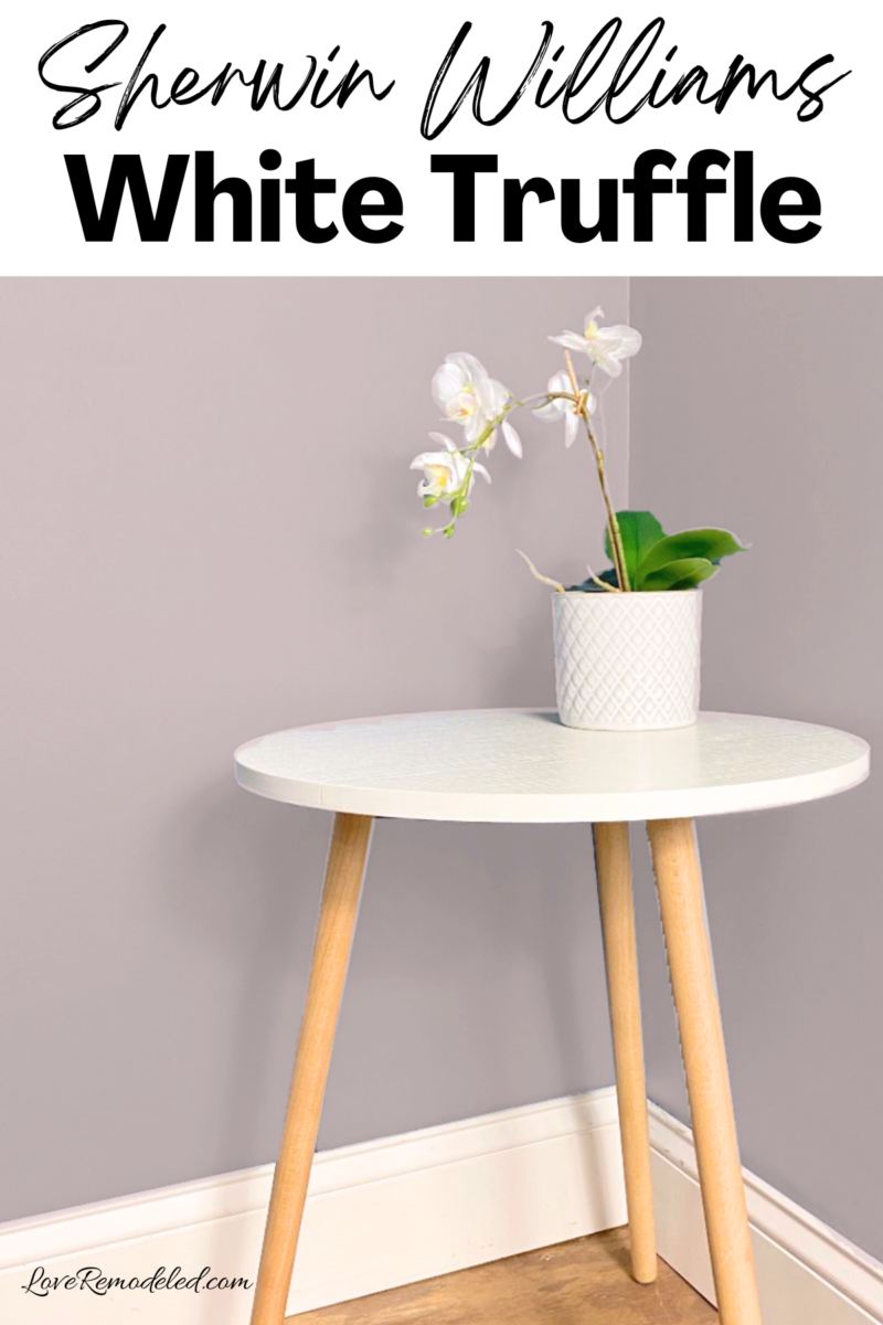 Sherwin Williams White Truffle Review - Love Remodeled